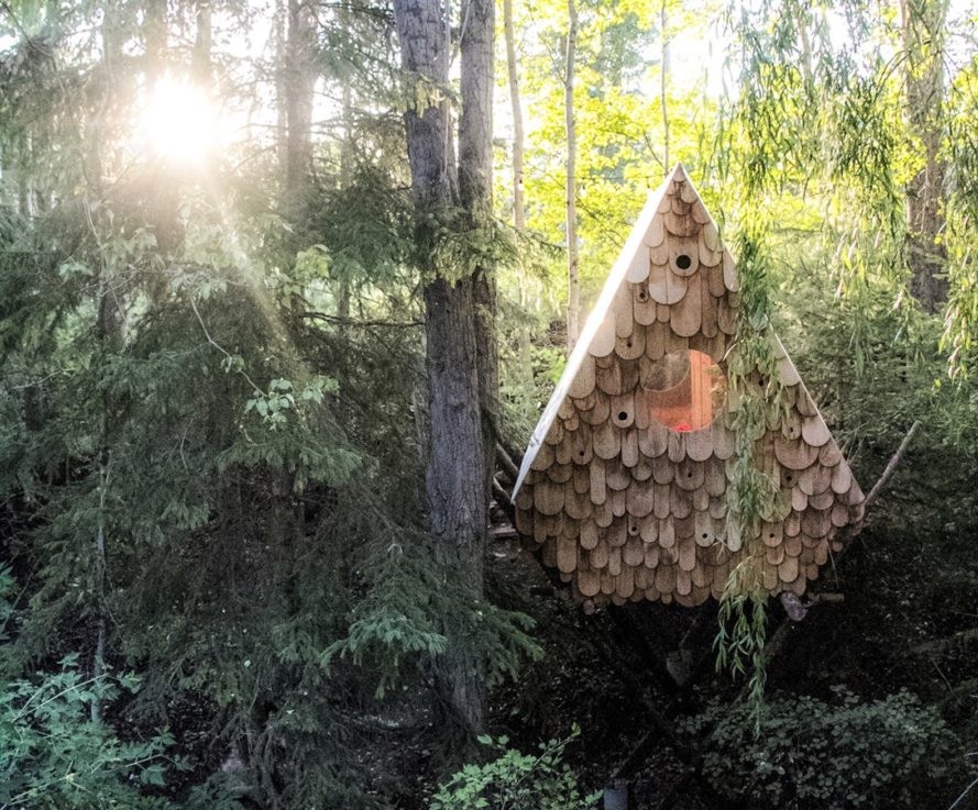 This Adorable BC Tiny House is for the Birds