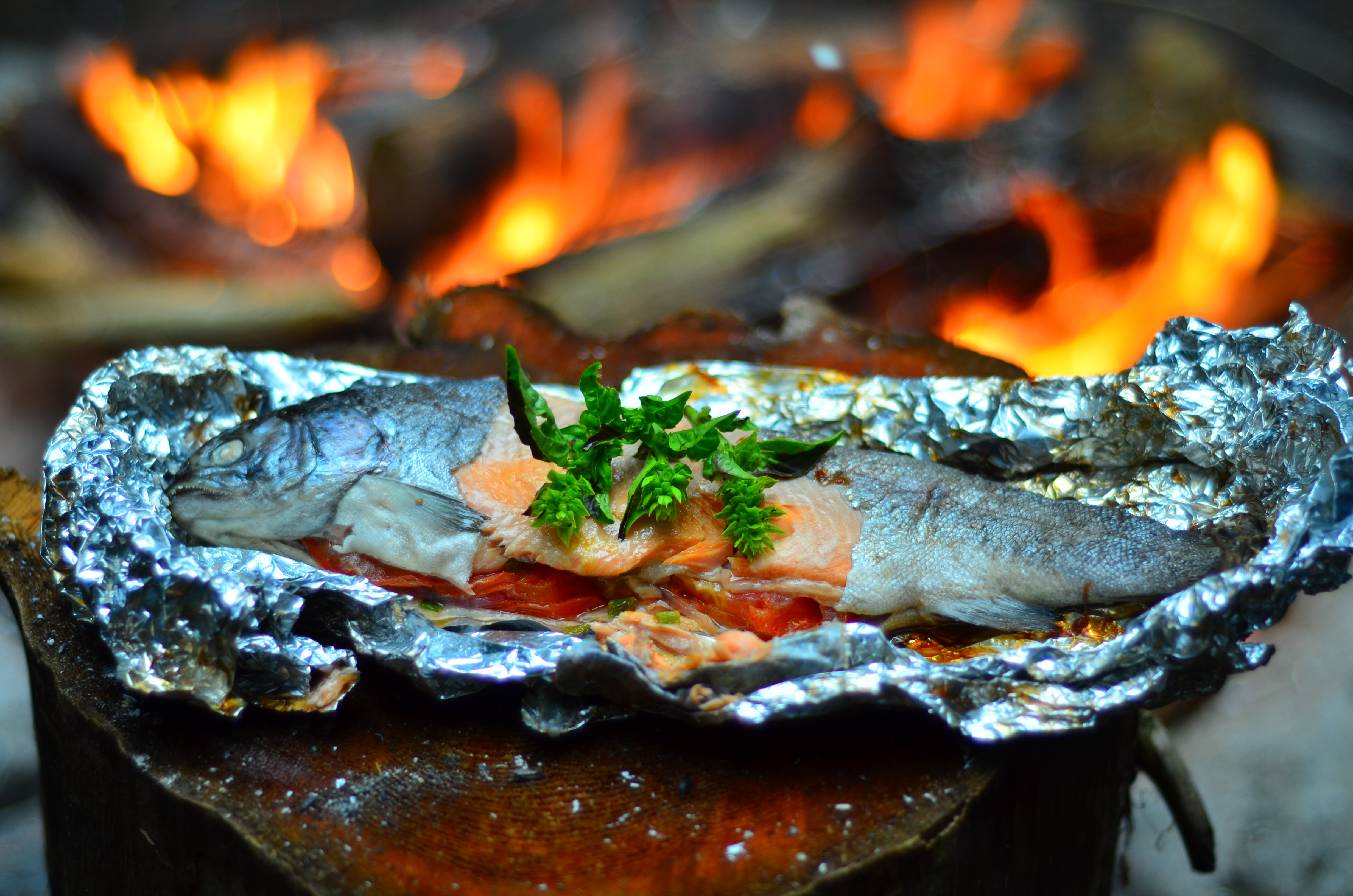 Campfire Cooking - Greenmoxie™