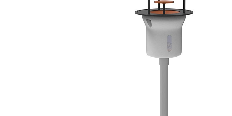 How You can Help Train Crows to Pick up Garbage - Greenmoxie™