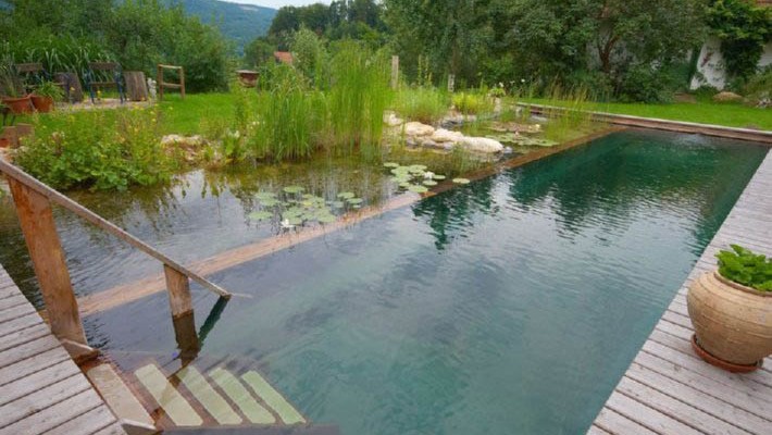 Brilliant Natural Swimming Pools - Greenmoxie™