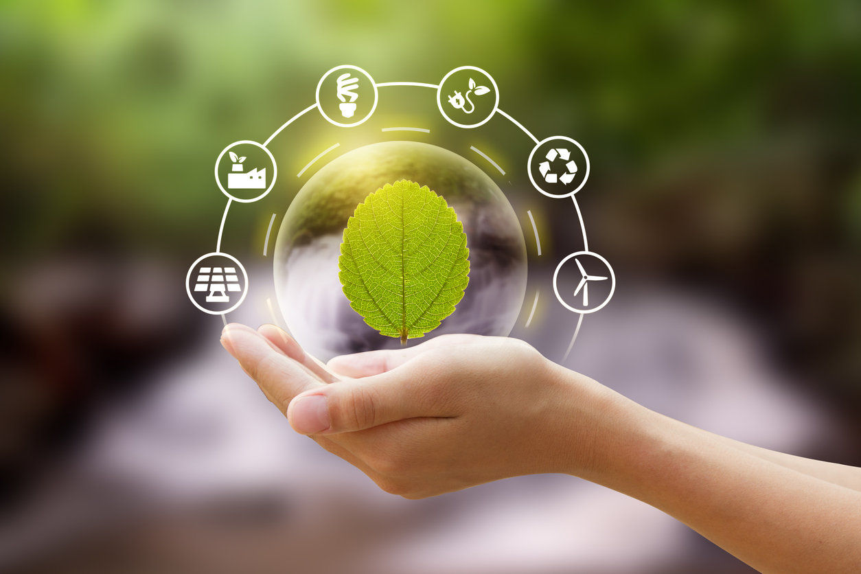 Creative Ways Companies Go Green - Greenmoxie™