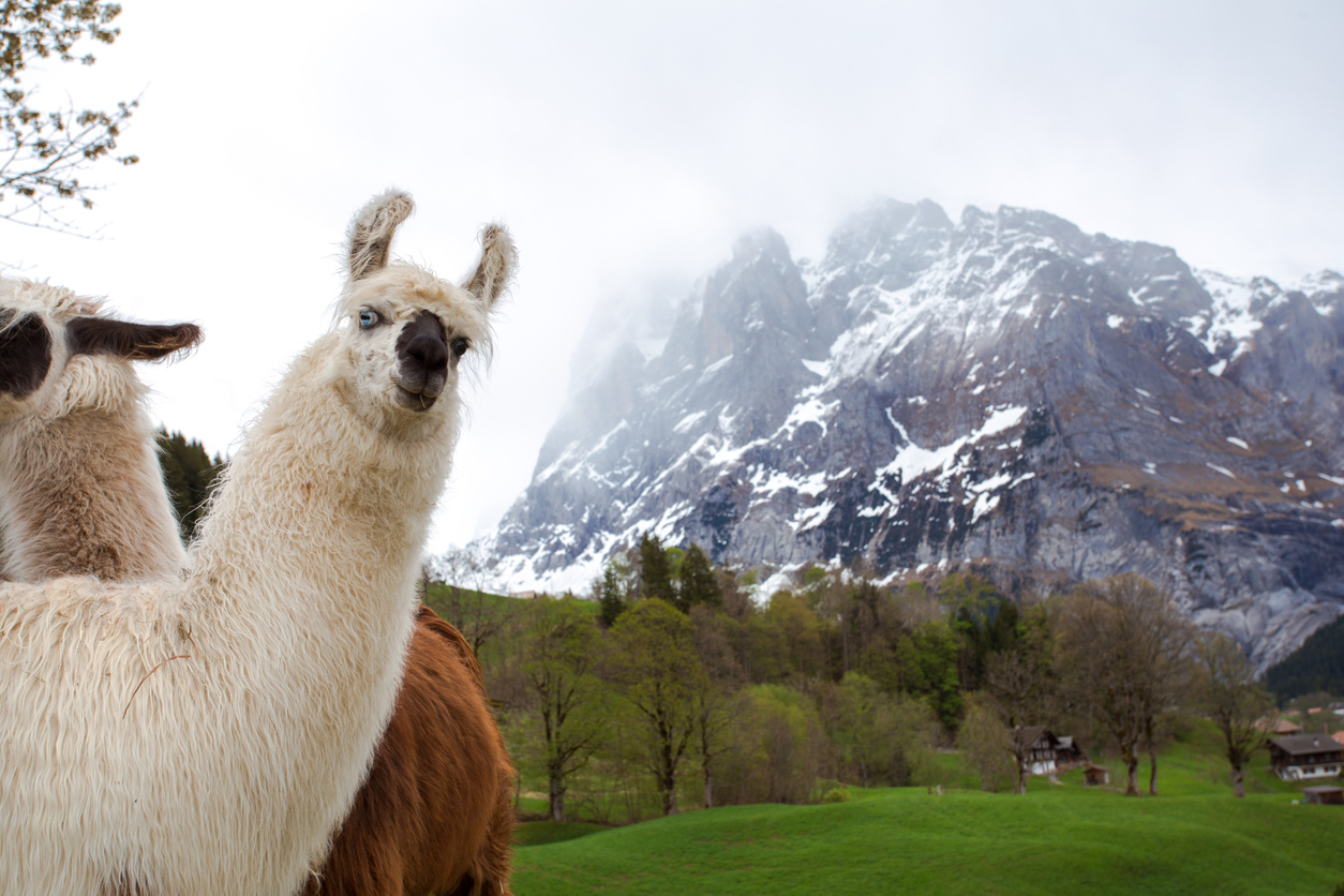 The World’s Most Iconic Walking Holidays - Greenmoxie™