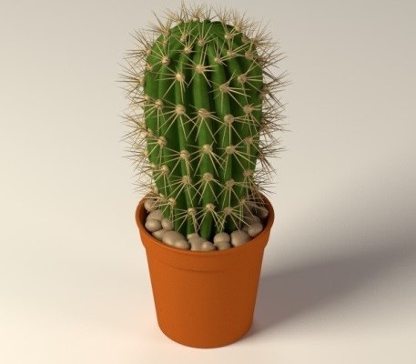 8 Plants That Make for a Clean and Happy Office - Greenmoxie™