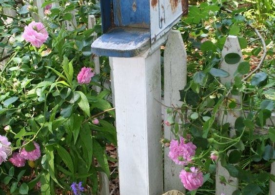 8 DIY Upcycled Bird Houses - Greenmoxie™