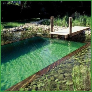 diy-natural-swimming-pool - Greenmoxie™